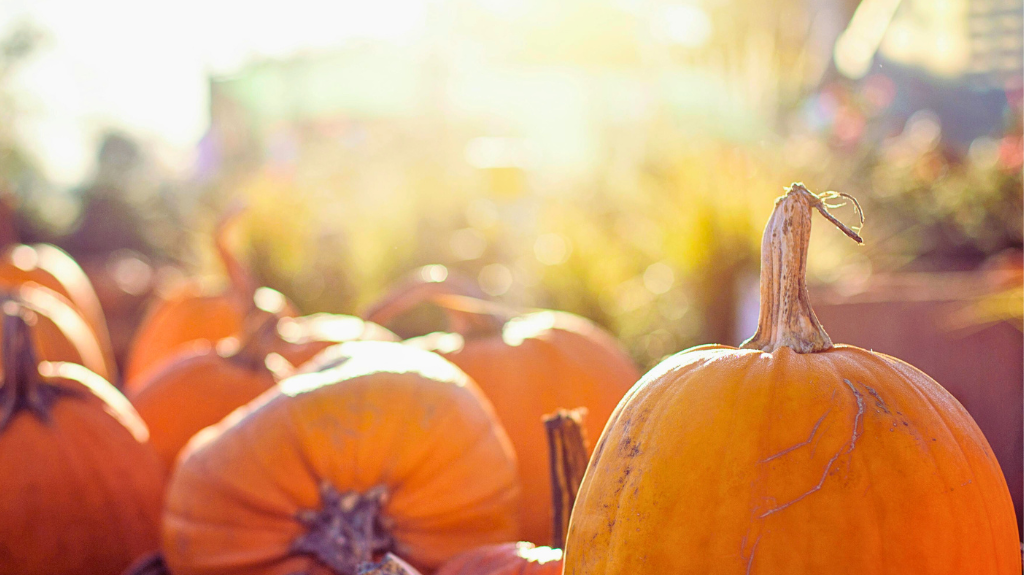 Carolina One Real Estate Blog