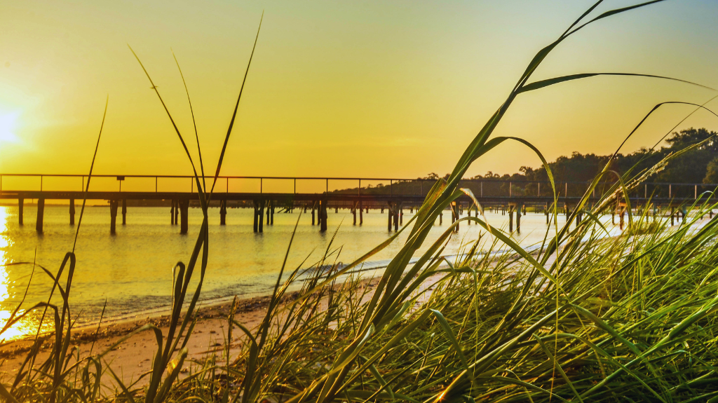 Charleston Waterfront Living: Beaches to Visit This Summer | Carolina ...